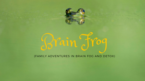 Brain Frogs